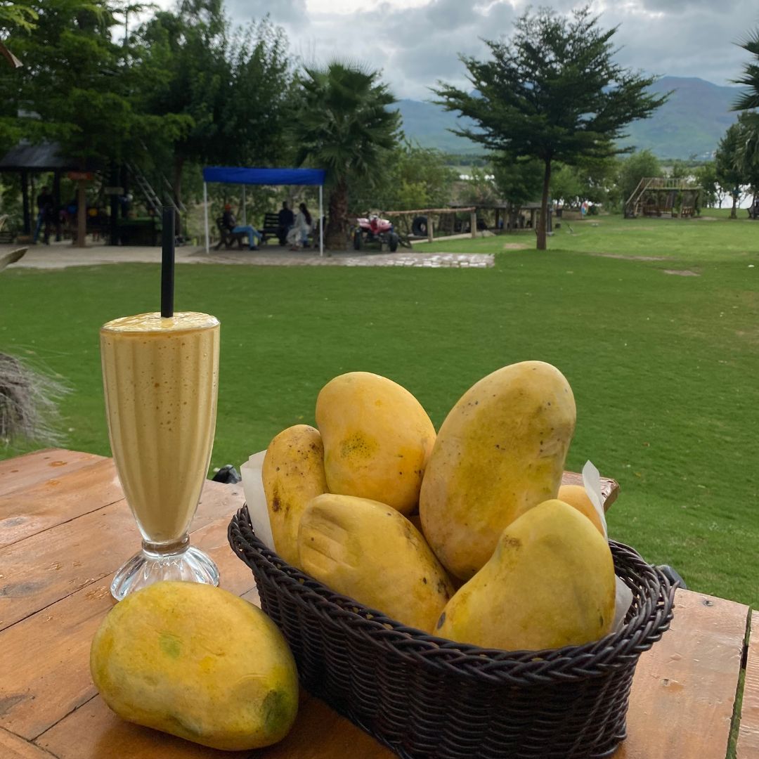 Why Resorts Need to Promote Local Fruits - Safdar Adventures