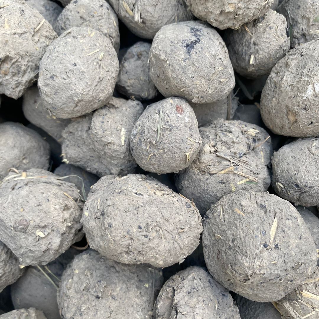 How Seed Balls Can Transform Your Resort’s Corporate Responsibility ...