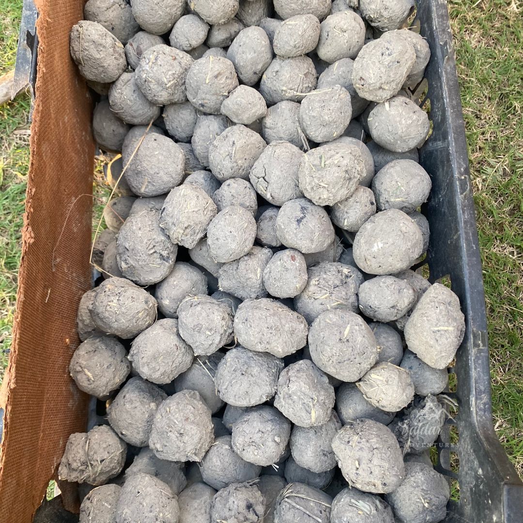How Seed Balls Can Transform Your Resort’s Corporate Responsibility ...