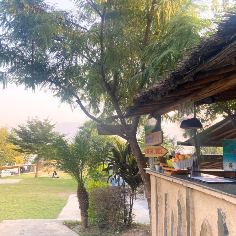 A Story of the Amla (Gooseberry) Tree at Mabali Island - Safdar Adventures