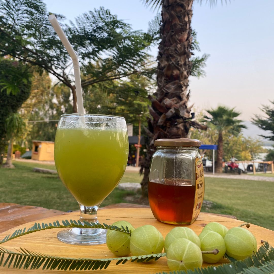 A Story of the Amla (Gooseberry) Tree at Mabali Island - Safdar Adventures