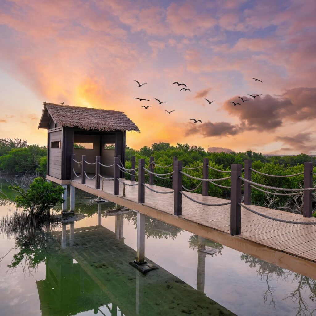 Purple Island Beach Doha - Safdar Adventures